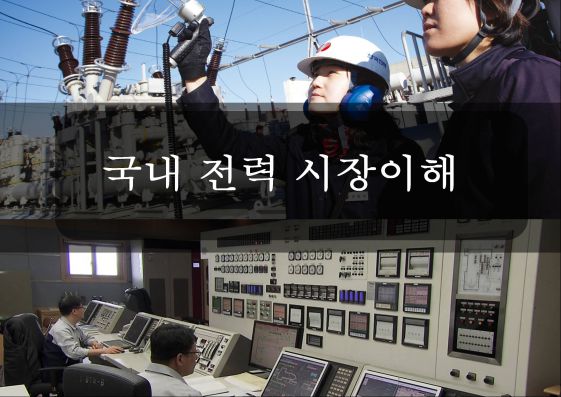국내 전력 시장이해