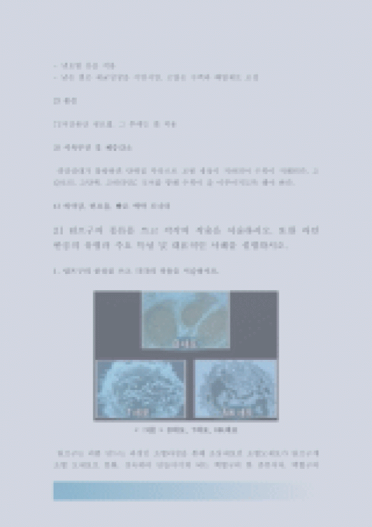 6쪽 미리보기