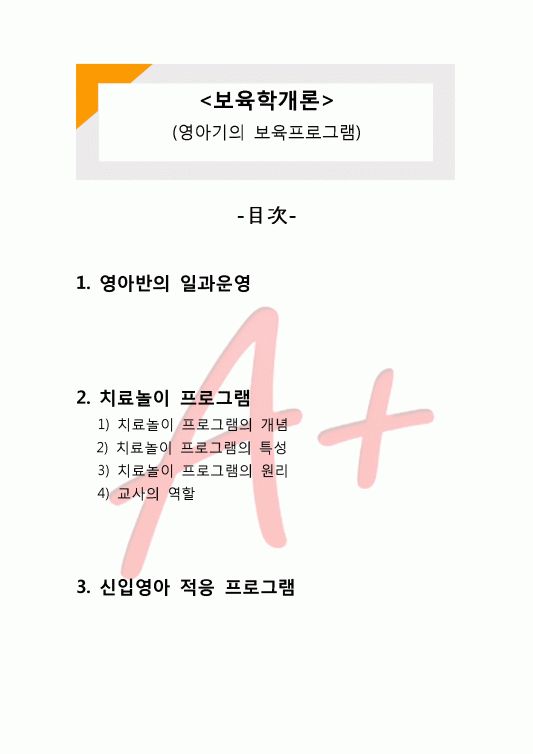 영아기의 보육프로그램