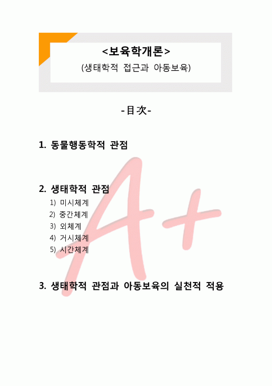 생태학적 접근과 아동보육