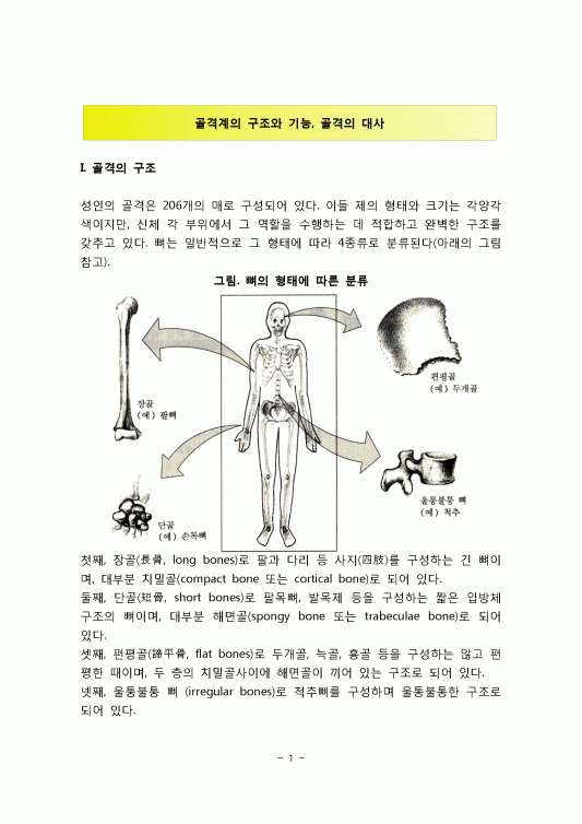 골격계의 구조와 기능, 골격의 대사