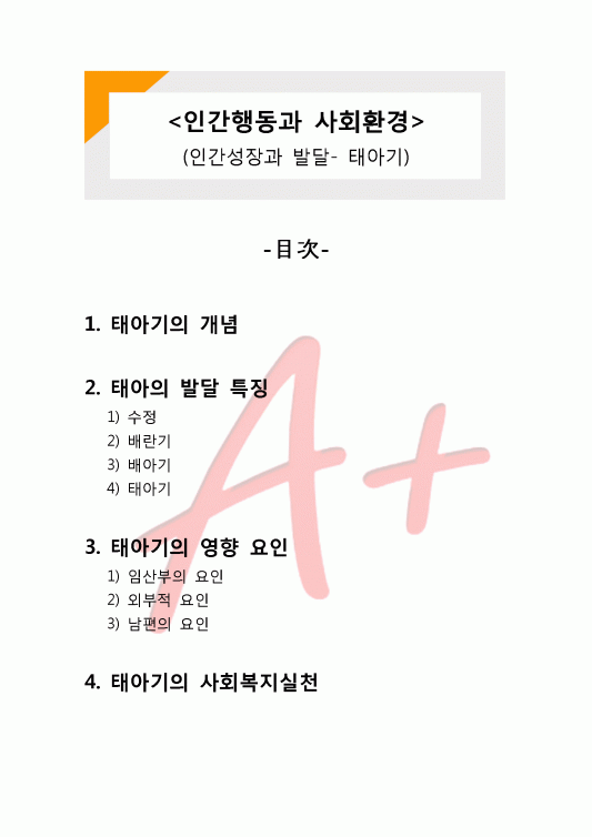 <,시험대비> [인간행동과 사회환경] 태아기
