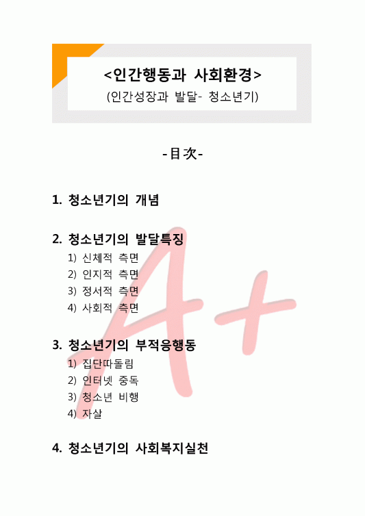 <,시험대비> [인간행동과 사회환경] 청소년기