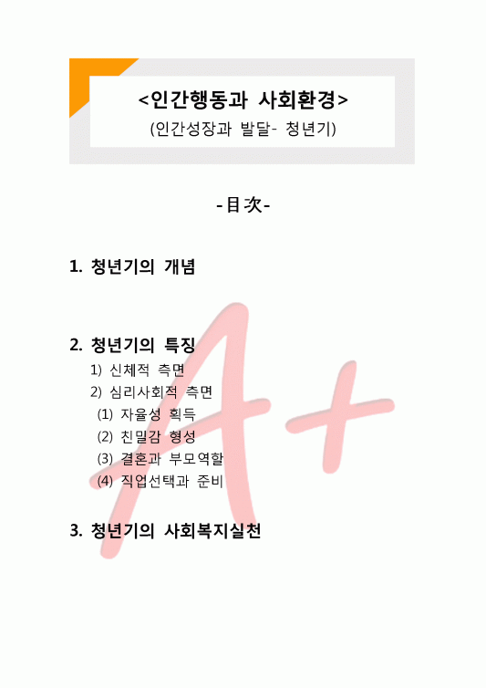 <,시험대비> [인간행동과 사회환경] 청년기