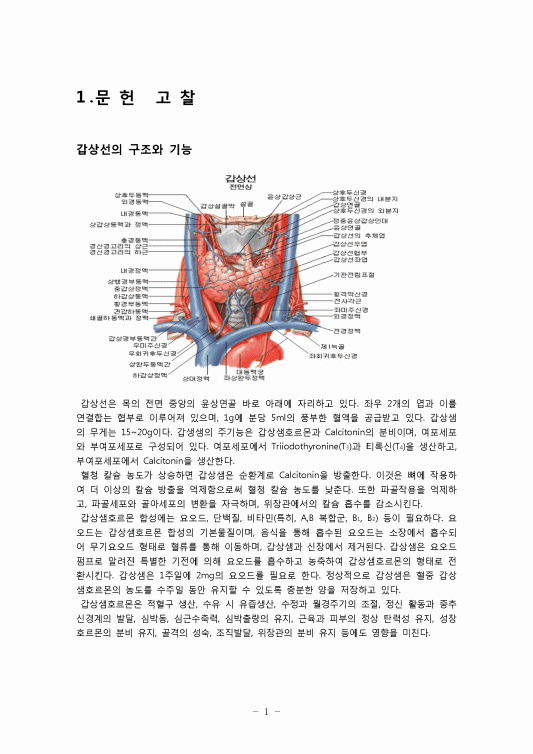 갑상선 절제술 케이스