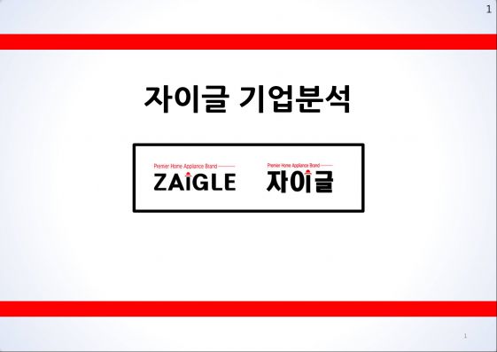 자이글 기업분석