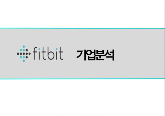 fitbit 기업분석