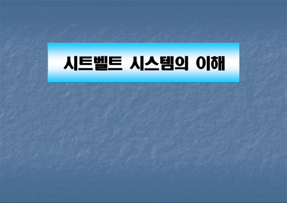 시트벨트 시스템의 이해