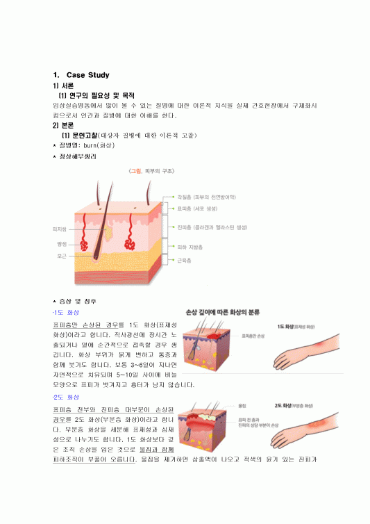 화상 case 레포트 자료