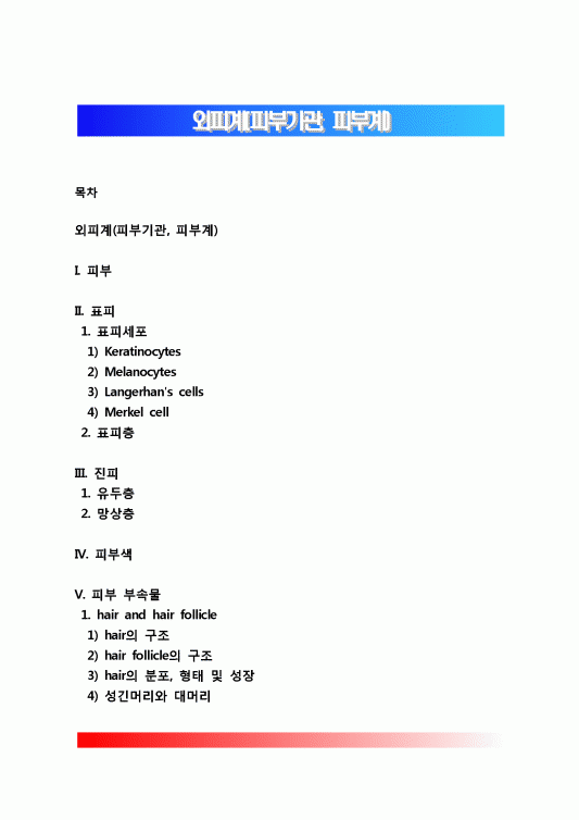 외피계(피부기관, 피부계)