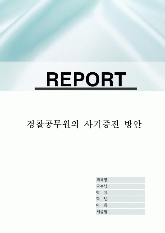 경찰공무원의 사기증진 방안