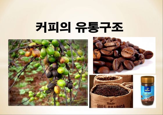 커피의 유통구조 - 커피의 유통구조
