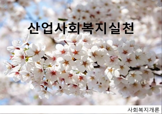 산업사회복지의 발달과 현재, 적용 사례