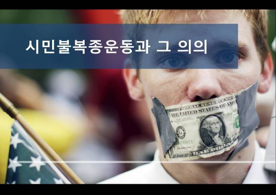 시민불복종운동과 그 의의 (시민운동)