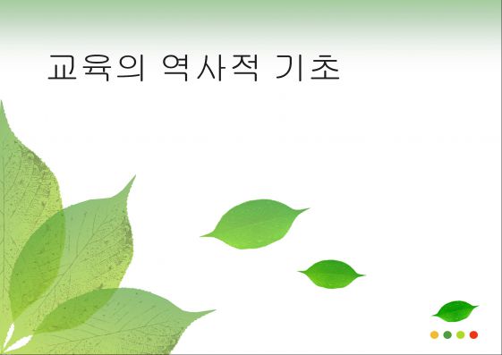 교육의 역사적 기초 한국교육 서양교육사 교육