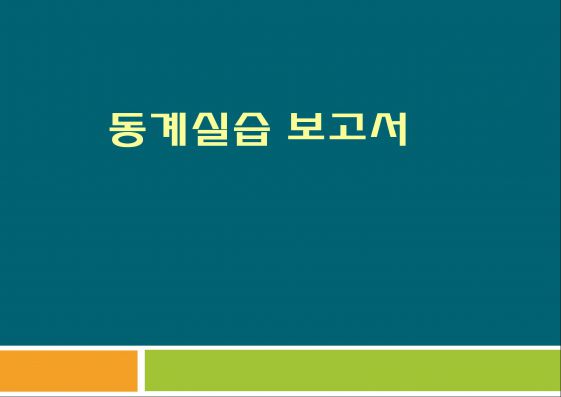 동계실습 보고서