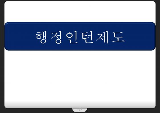 행정 인턴 제도
