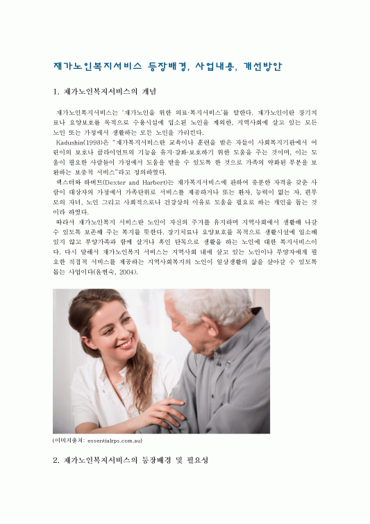 [재가노인복지서비스] 재가노인복지서비스 등장배경, 사업내용, 재가노인복지서비스 개선방안 - 재가노인복지서비스, 재가노인복지사업