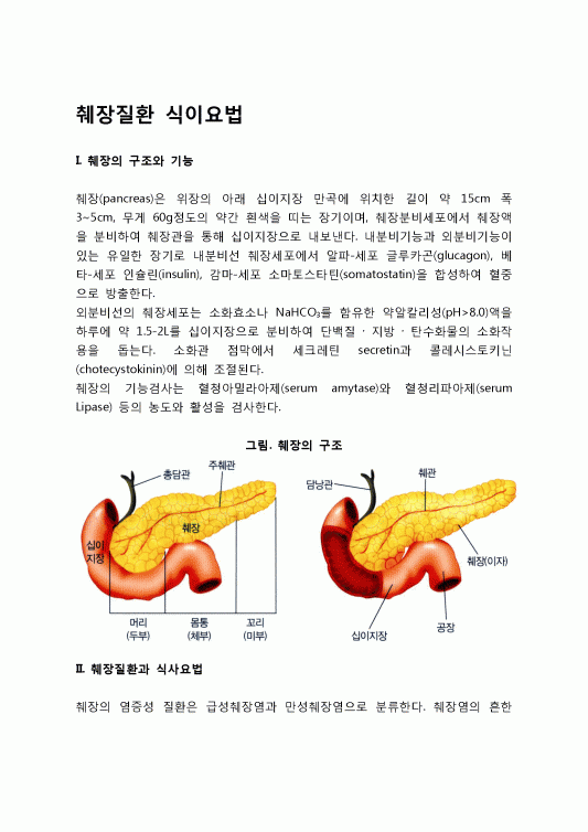 췌장질환 식이요법