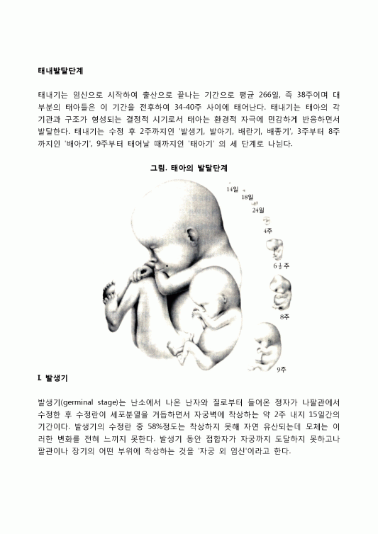 태내발달단계