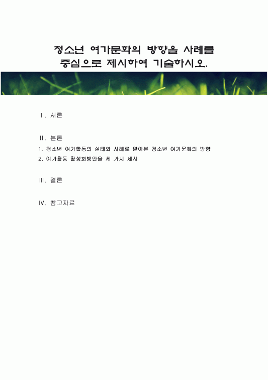 청소년 여가문화의 방향을 사례를 중심으로 제시하여 기술