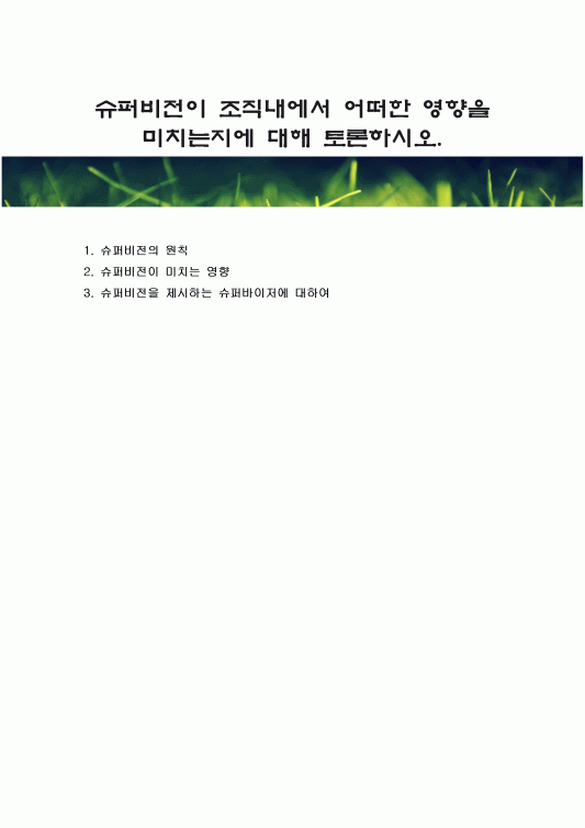 슈퍼비전이 조직내에서 어떠한 영향을 미치는지에 대해 토론