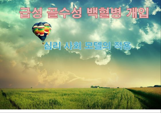 급성 골수성 백혈병 개입 심리 사회모델의 적용