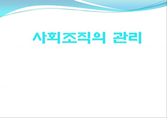 사회복지조직의관리