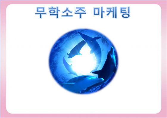 무학소주 마케팅 [소개, 분석, 마케팅 전략, 결론]