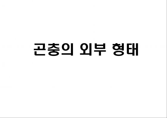 곤충의 외부 형태