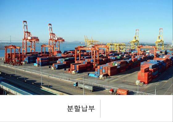 분할납부 [정의, 목적, 대상, 절차, 사후관리, 사례]