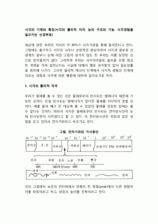 시각의 기제와 특징(시각의 물리적 자극, 눈의 구조와 기능, 시각경험을 일으키는 신경부호)