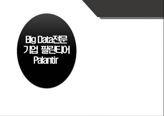 Big Data전문 기업 팔란티어 Palantir