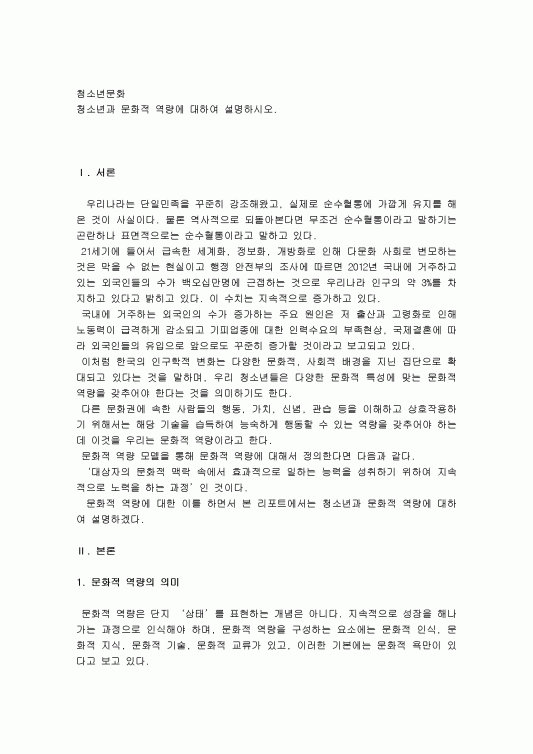 청소년과 문화적 역량에 대하여 설명하시오