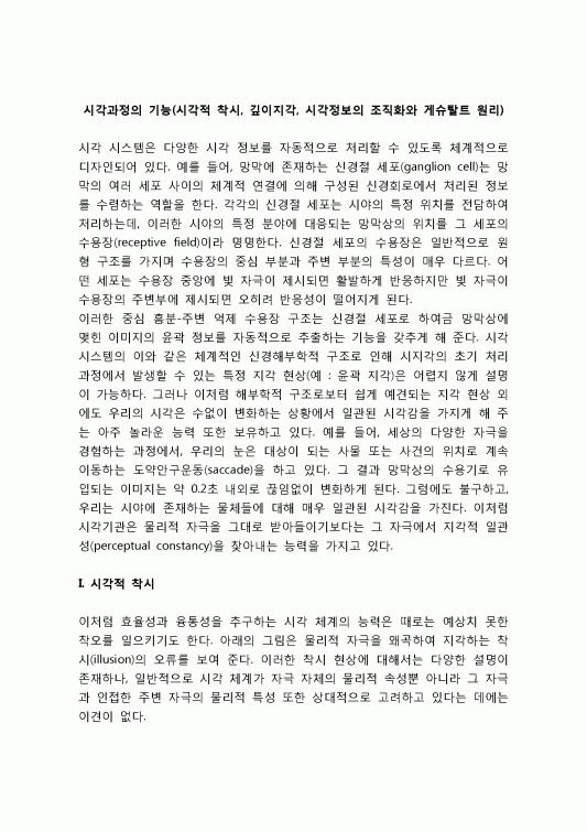 시각과정의 기능(시각적 착시, 깊이지각, 시각정보의 조직화와 게슈탈트 원리)