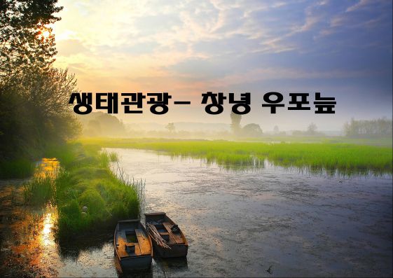 생태관광 - 창녕 우포늪 [생태관광]