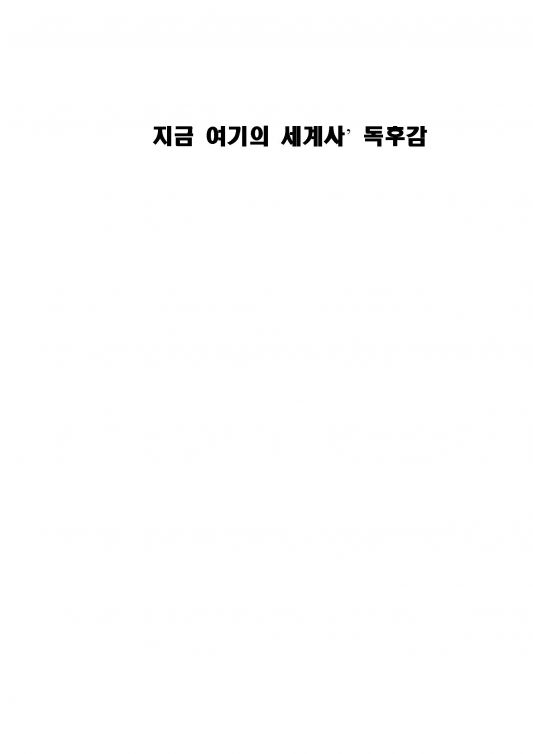 독후감 - 지금 여기의 세계사