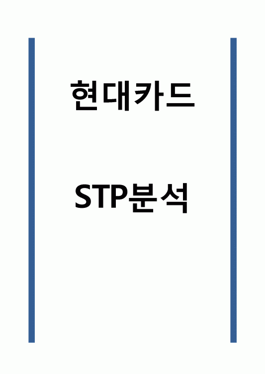현대카드 STP분석