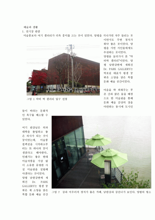 예술과 생활-관람후 평가 소외계층이 예술관람을 위한 지원정책