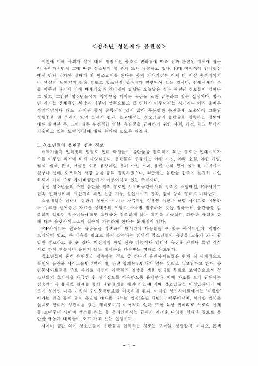 음란물과 청소년 성문제 (음란물 접촉경로,부정적 영향,규제방안 등)