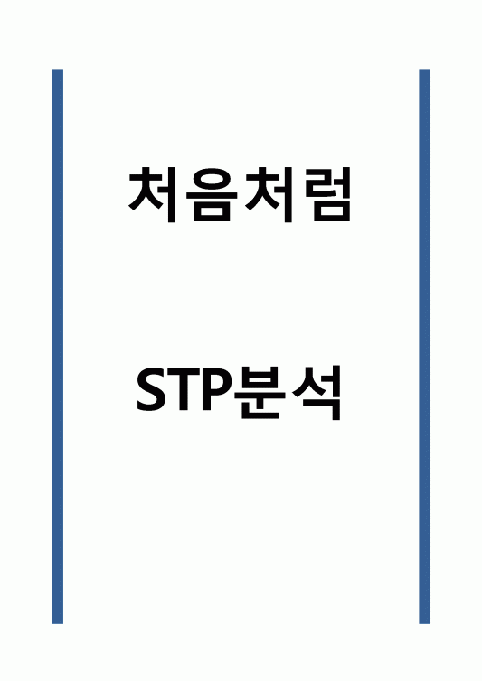처음처럼 STP분석