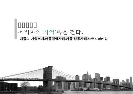 Apple소비자의‘기억’속을 걷다 애플의 기업소개,애플경영사례,애플 성공사례,브랜드마케팅