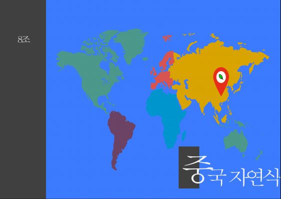 중국 자연식품