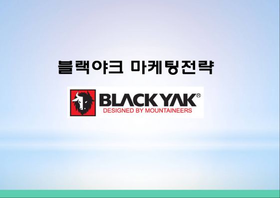 블랙야크 마케팅전략
