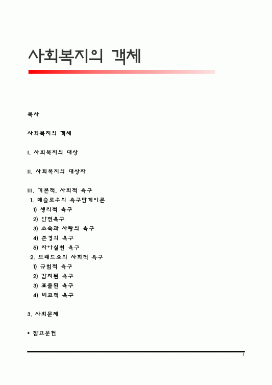 사회복지의 객체