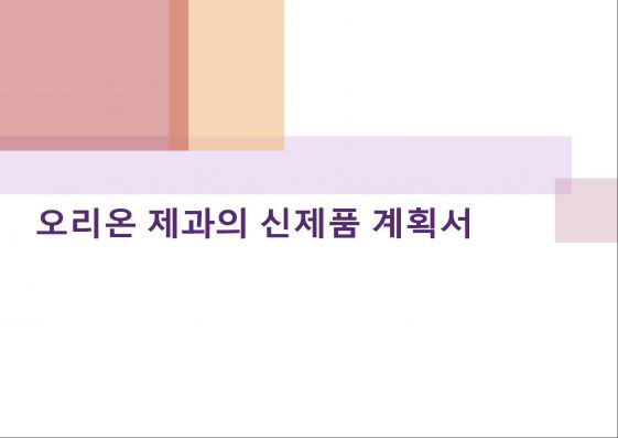 오리온 제과의 신제품 계획서
