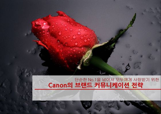 Canon의 브랜드 커뮤니케이션 전략
