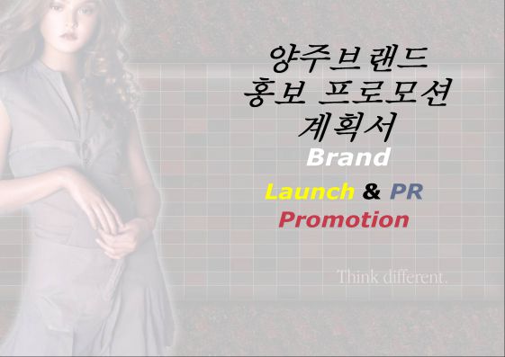 양주브랜드 홍보 프로모션 계획서