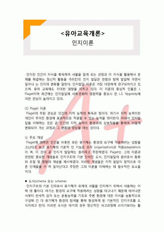 (시험대비) [유아교육개론] 인지이론