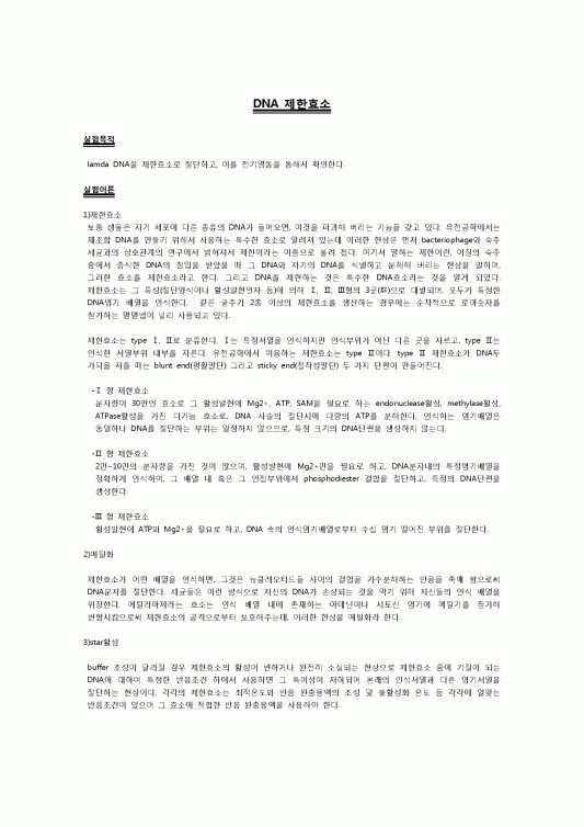 DNA제한효소 레포트 자료